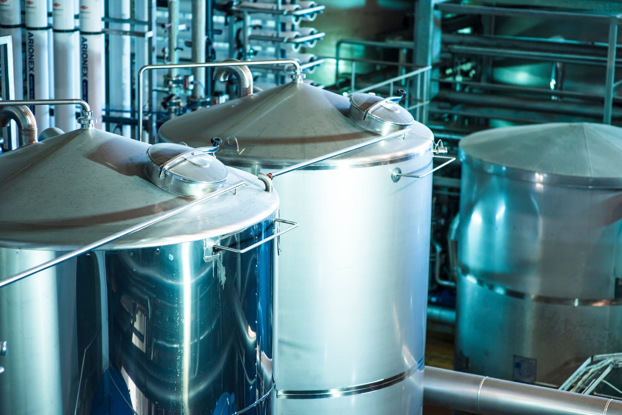 Stainless Steel Silos for Food Processing